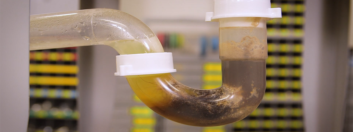 5 Tips to Keep Your Drains Clean and Clear